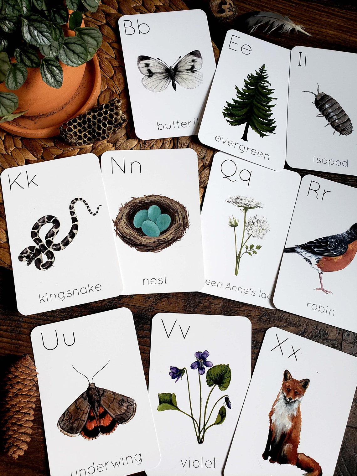 Backyard Nature Alphabet Flashcards - Etsy