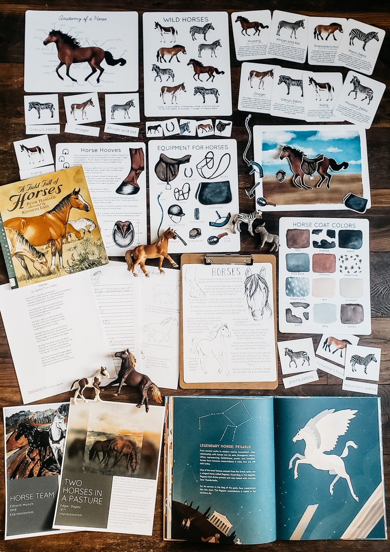 Horse Unit Study - Etsy