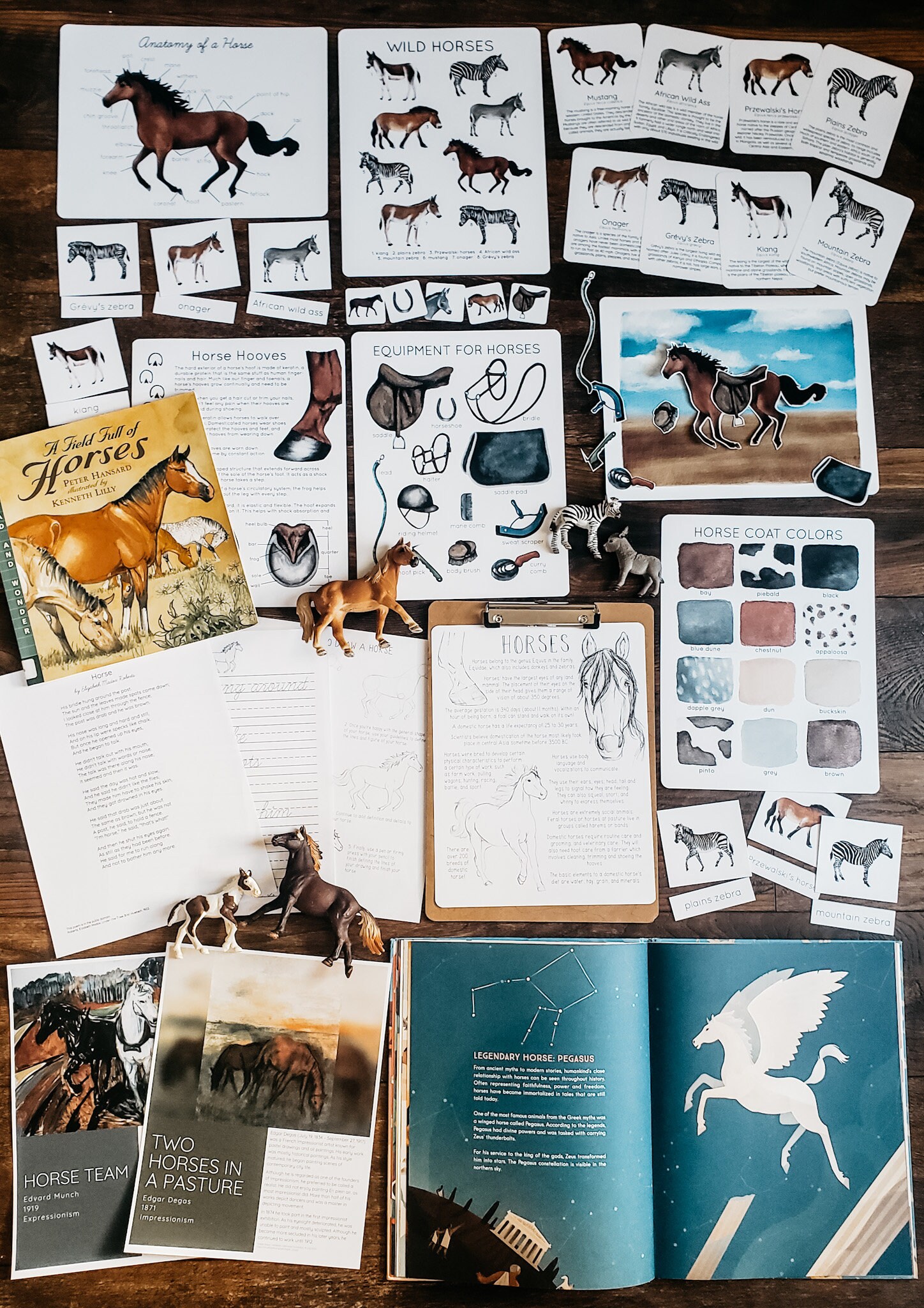 Horse Unit Study - Etsy