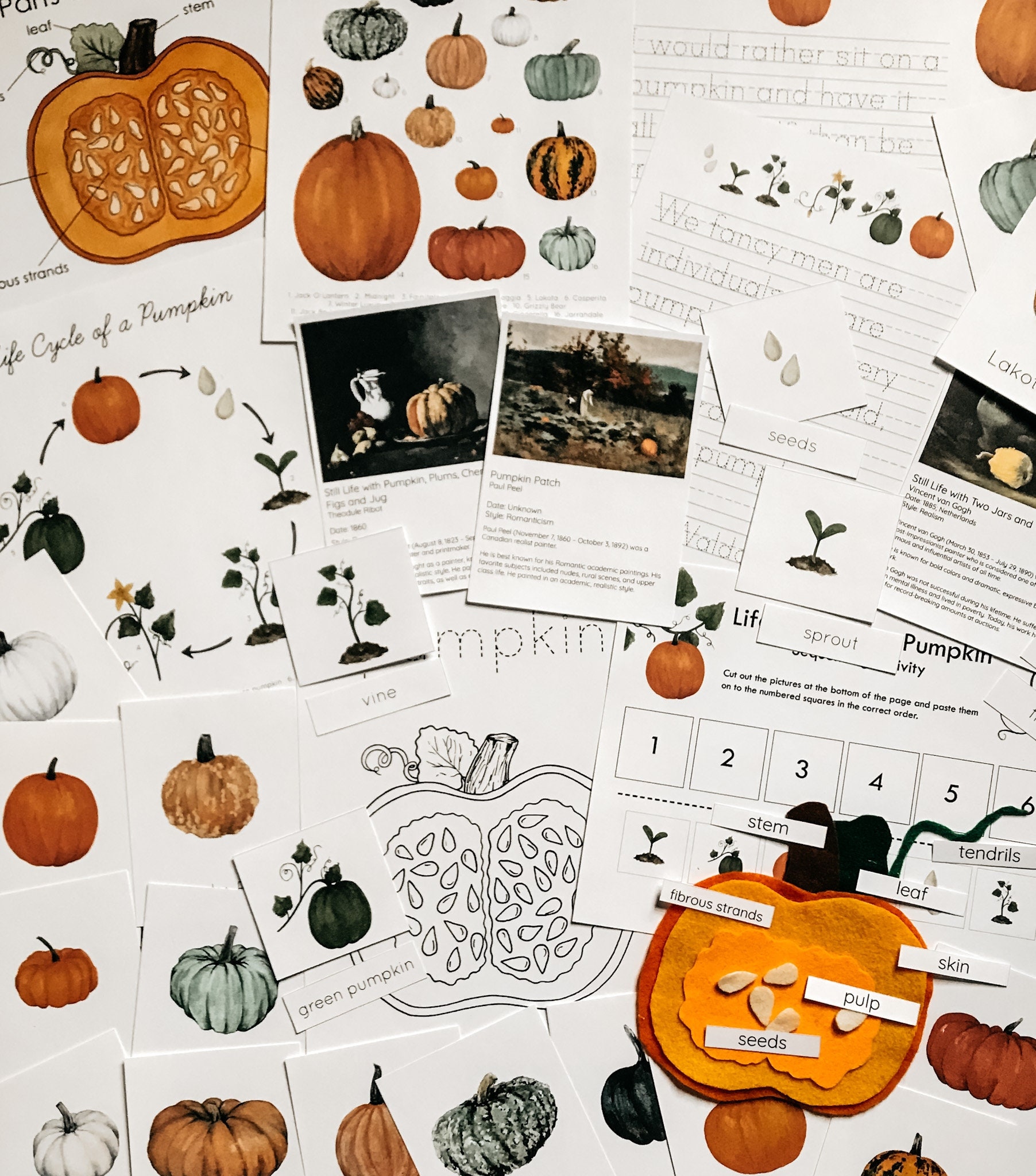 Pumpkin Mini Unit Study - Etsy