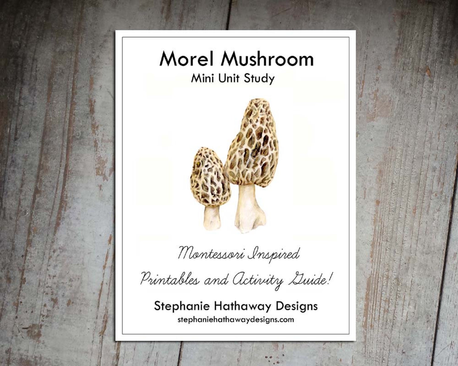 Morel Mushroom Mini Unit Study Bundle - Etsy