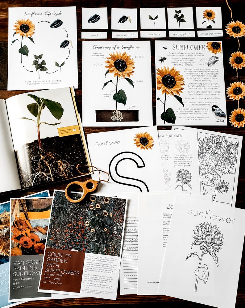 Autumn Harvest Bundle - Etsy