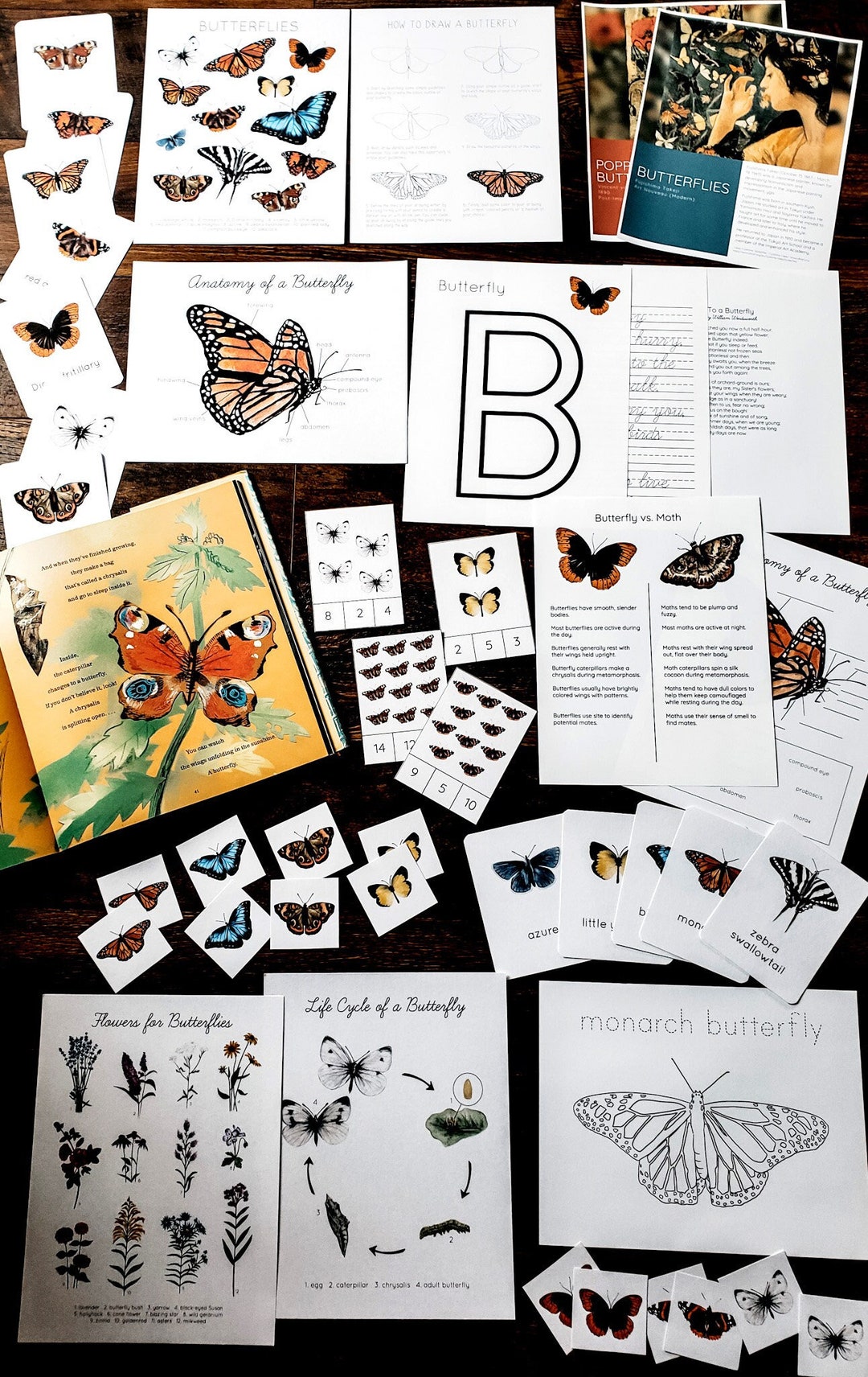 Butterfly Unit Study - Etsy