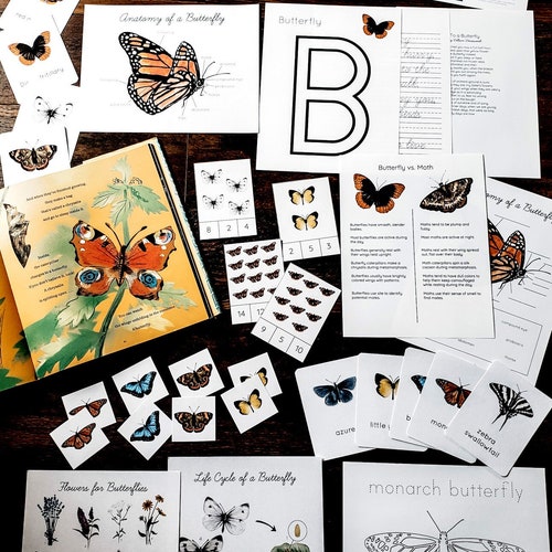 Monarch Butterfly Mini Nature Study - Etsy