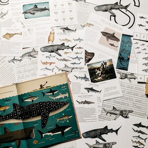 Ocean Bundle - Etsy