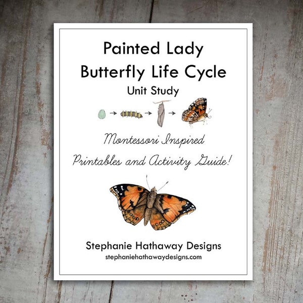 Real Butterfly - Etsy