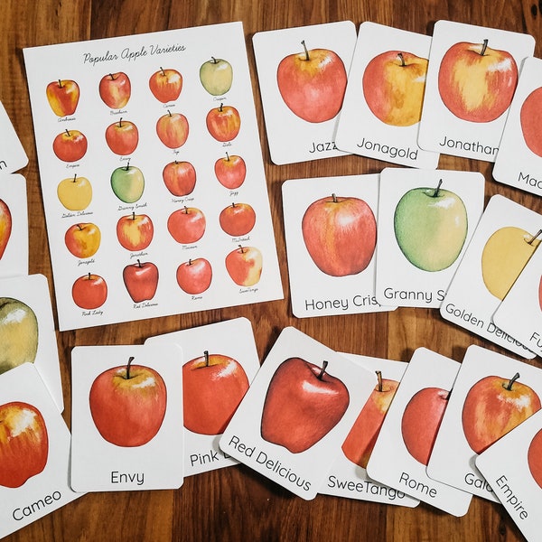 Apple Varieties - Etsy