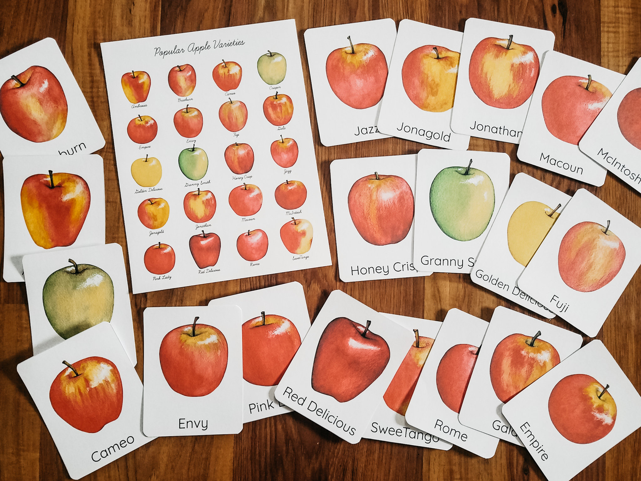 Apple Varieties Chart