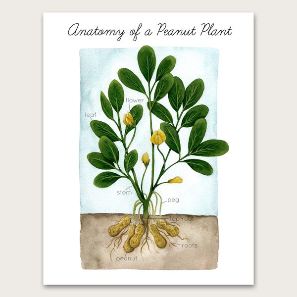 Plant Art - Etsy