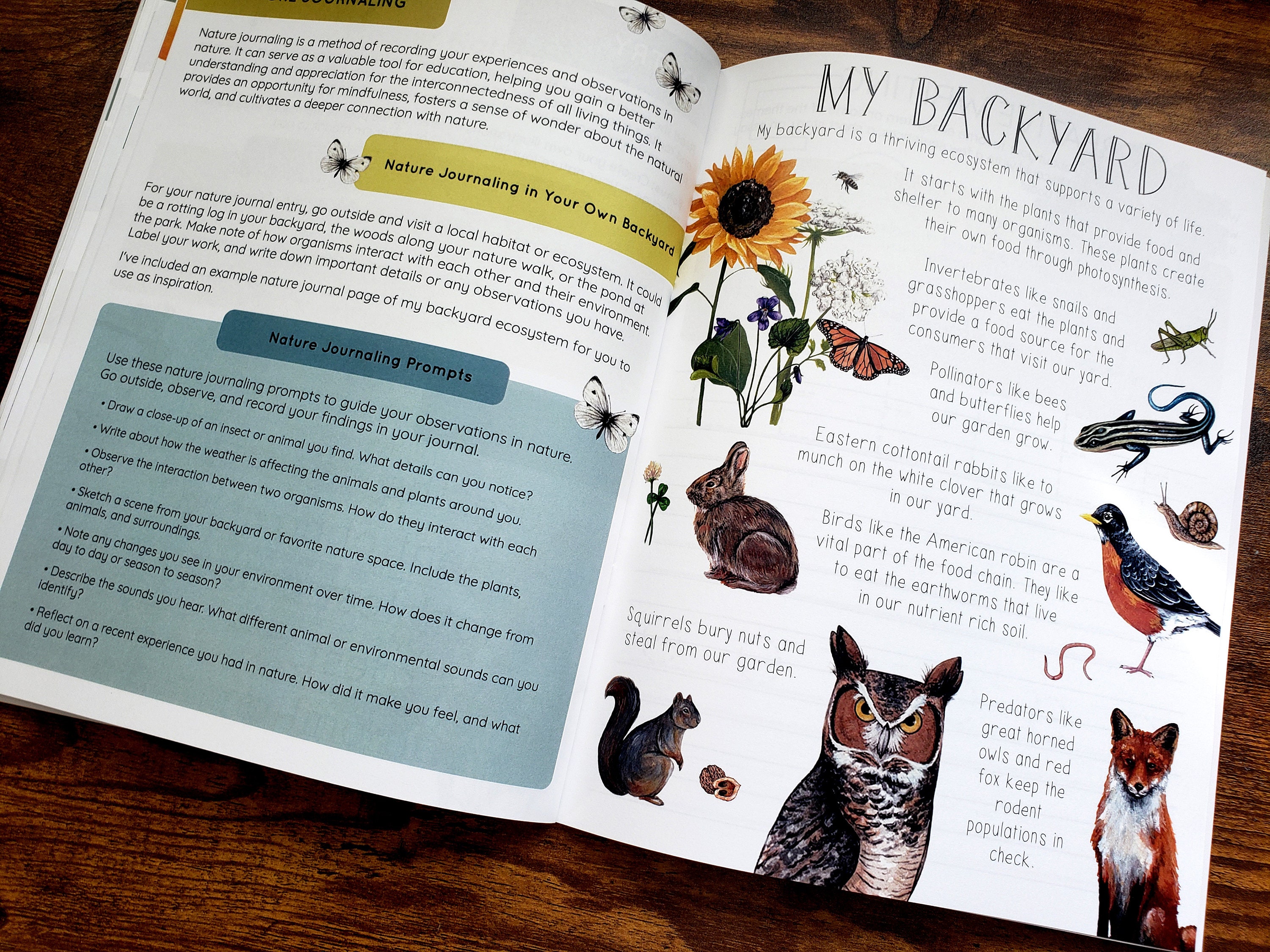 Backyard Ecology: A Printed Educational Guide Filled With Information ...