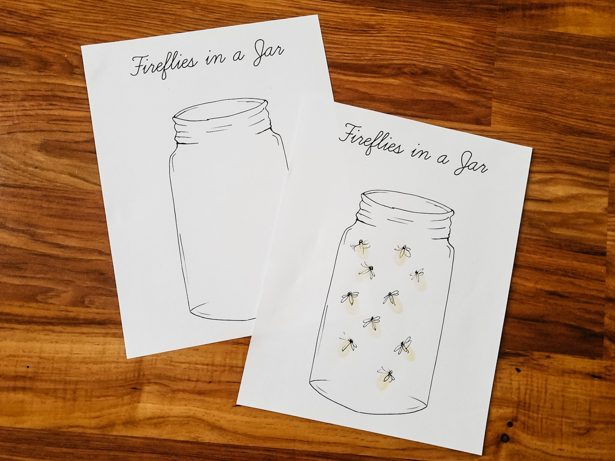 Firefly Unit Study Bundle - Etsy