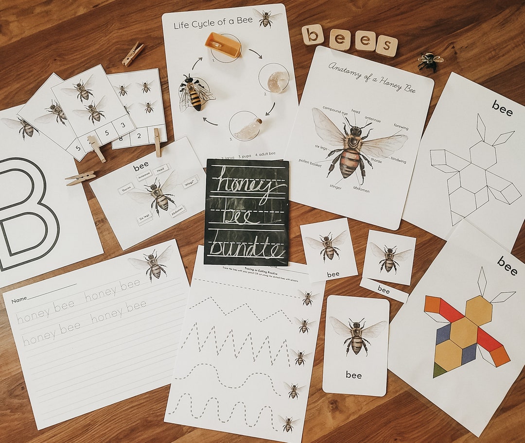 Honey Bee Bundle Printable Digital Download - Etsy Australia