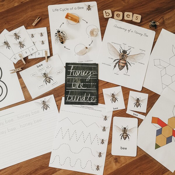Honey Bee Printables - Etsy