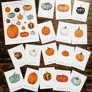Pumpkin Mini Unit Study - Etsy