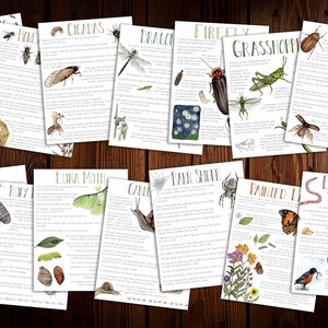 Minibeast Nature Study Vol. 1 - Etsy