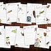 Minibeast Nature Study Vol. 1 - Etsy