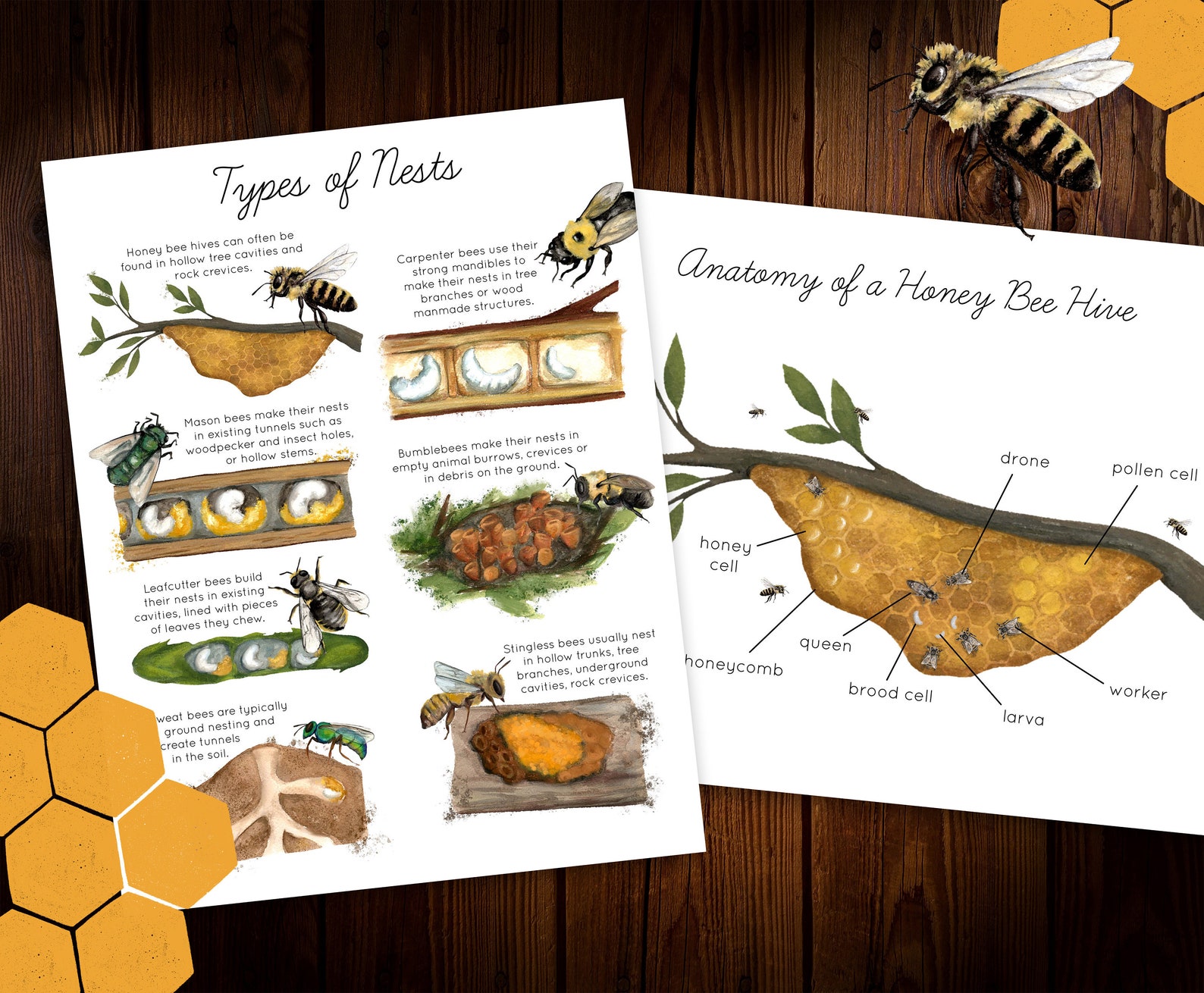 Bee Unit Study - Etsy