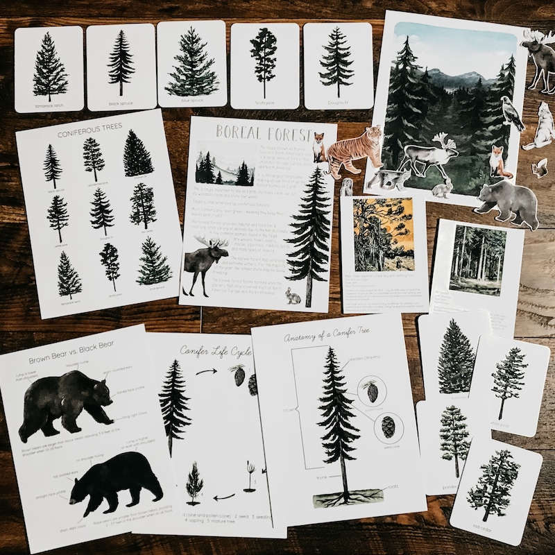 Taiga Printables - Etsy