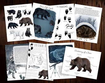 Bear Learning Activities, Bear Unit Study, Learn About Animals, Zoo ...