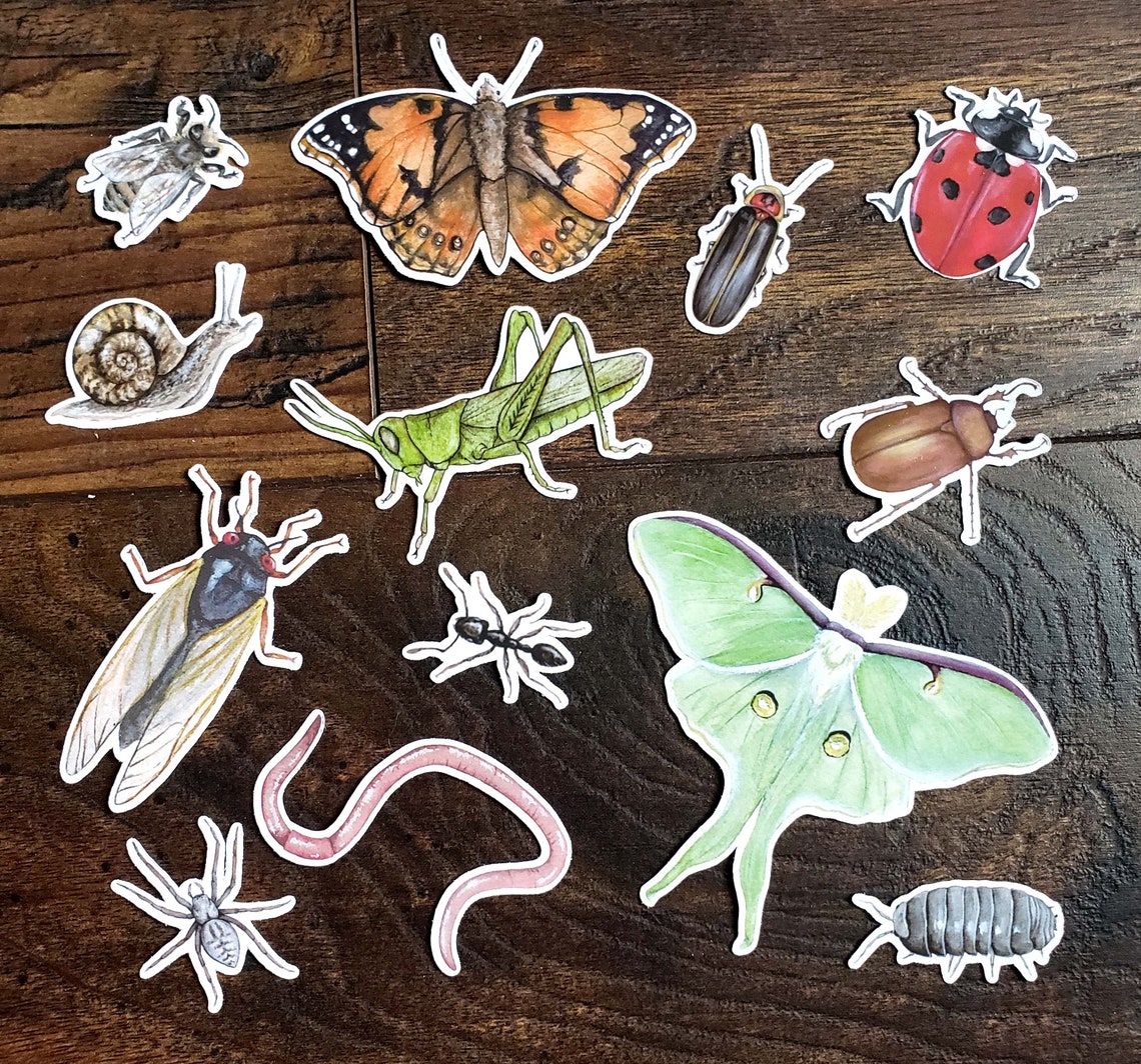 Minibeast Sticker Pack Set of 13 - Etsy