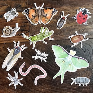 Minibeast Sticker Pack Set of 13 - Etsy