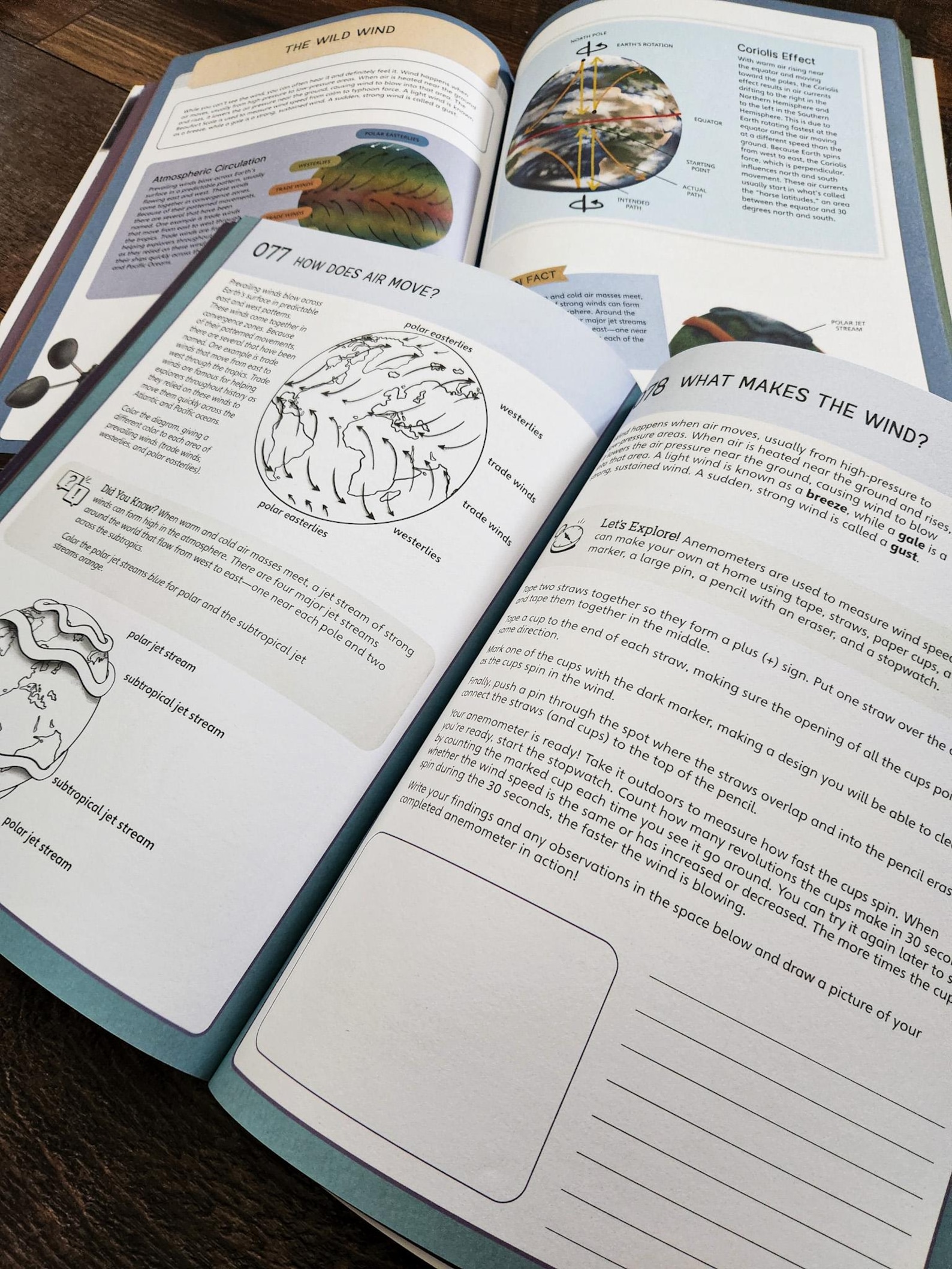 Planet Earth & Workbook Bundle - Etsy
