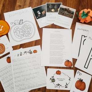 Pumpkin Mini Unit Study - Etsy