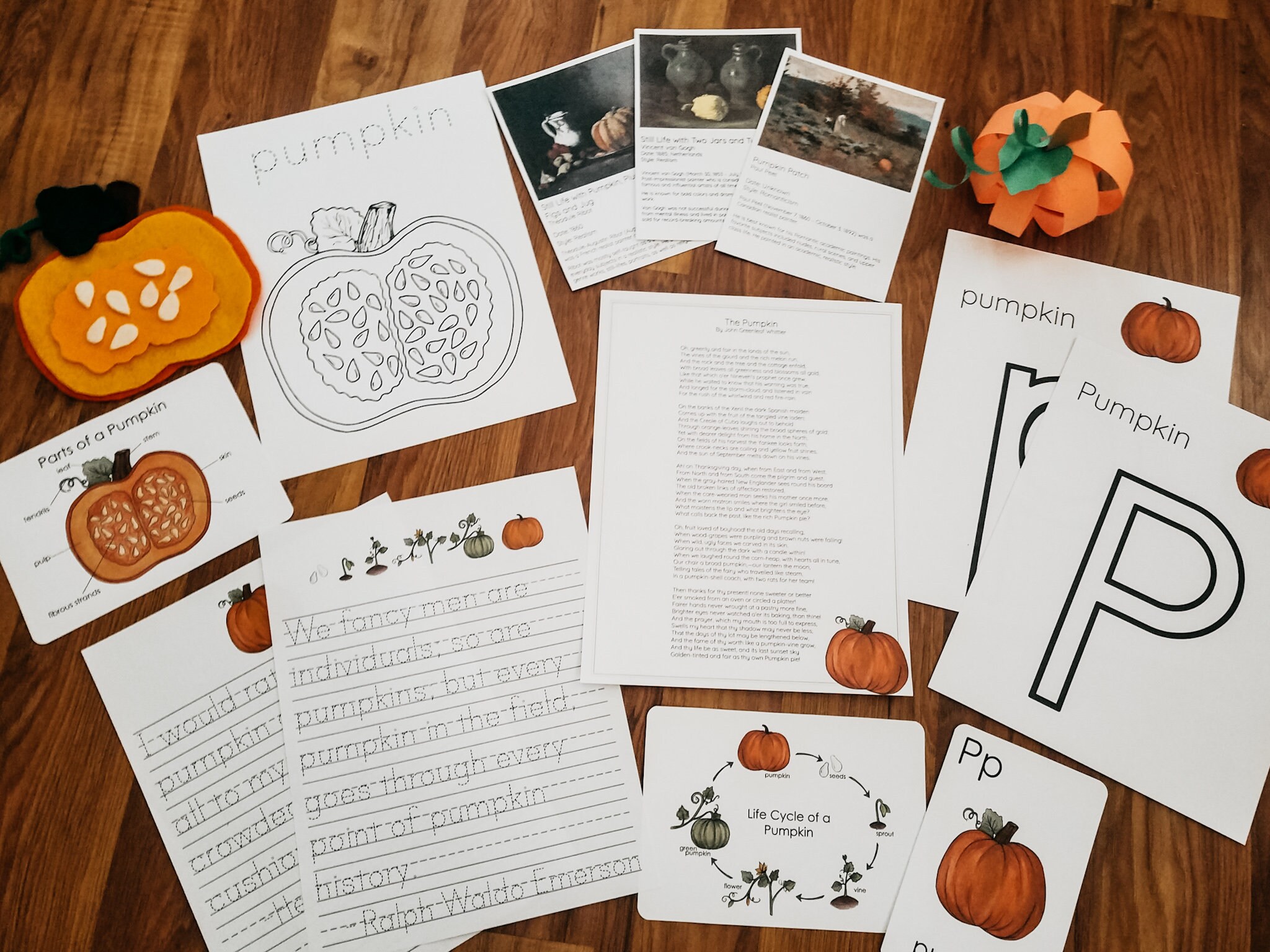 Pumpkin Mini Unit Study - Etsy