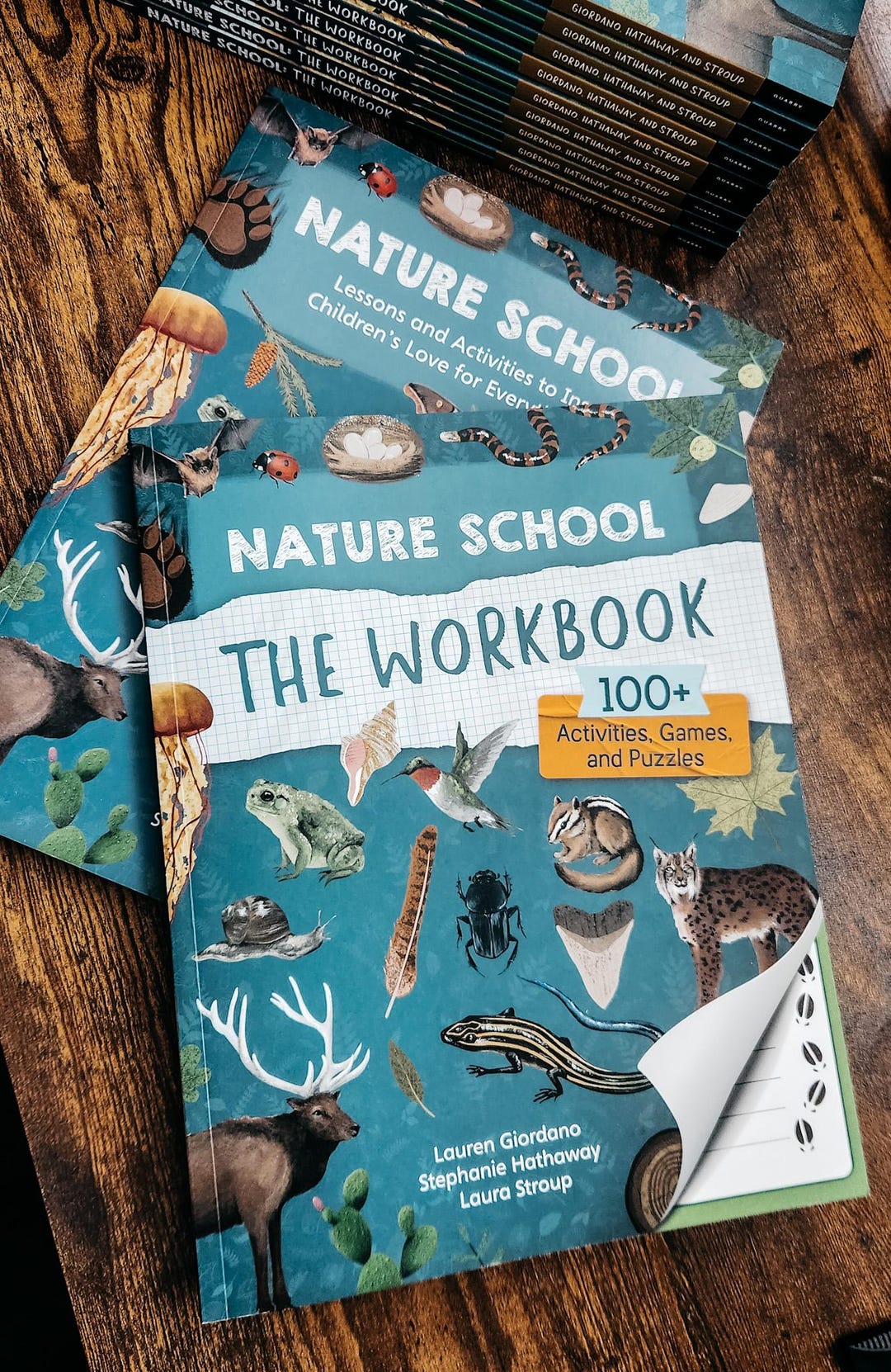 Nature School & Workbook Bundle - Etsy