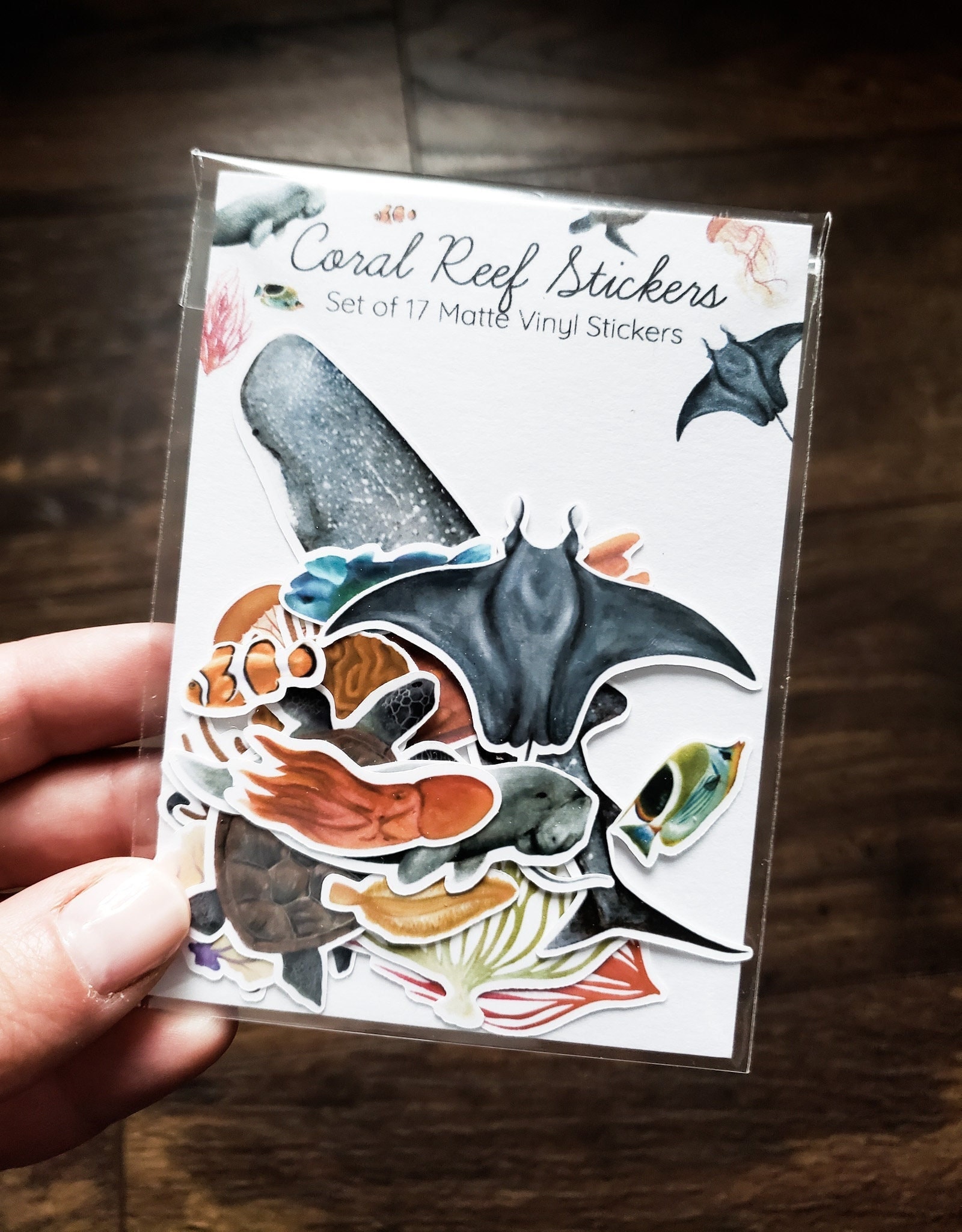 Coral Reef Sticker Pack, Set of 17 Matte Vinyl Stickers — Stephanie ...