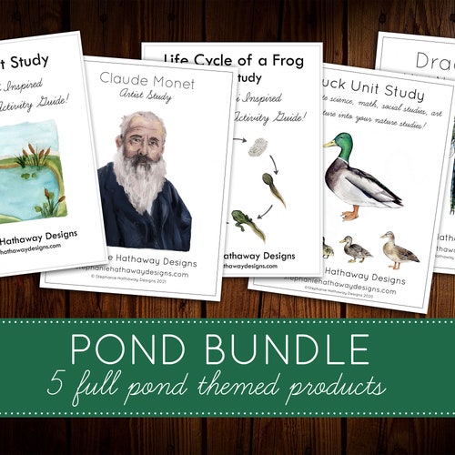 MINI Pond Unit Study Physical Bundle - Etsy