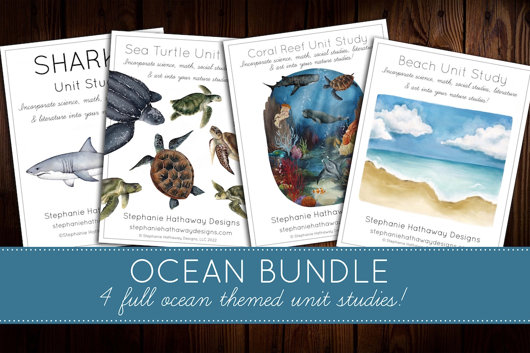 Ocean Bundle - Etsy