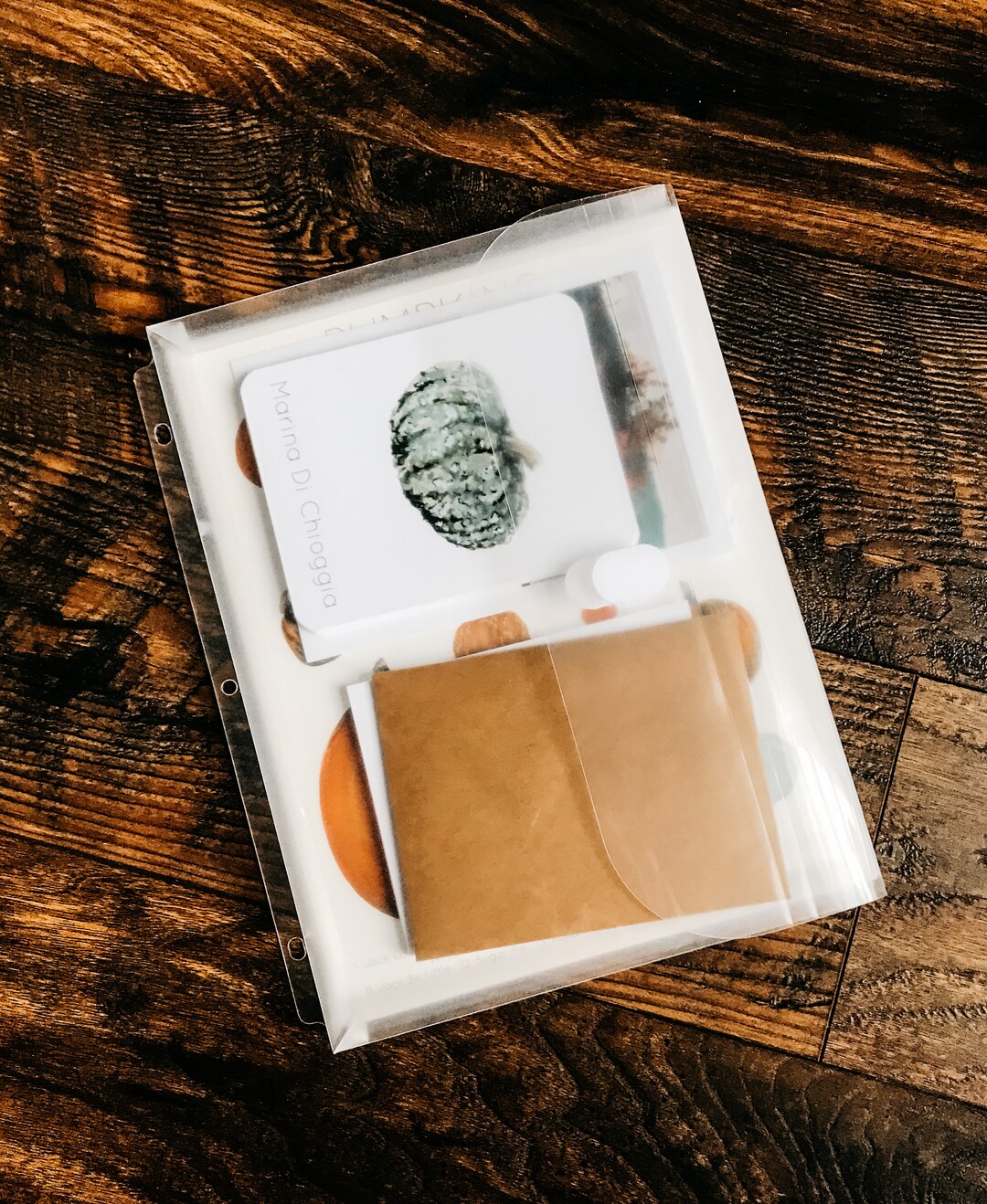 Pumpkins Unit Study Physical Bundle - Etsy