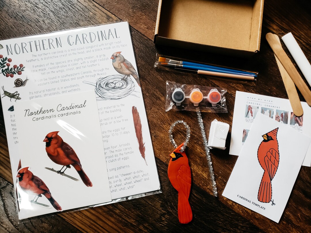 Northern Cardinal Nature Study Physical Bundle - Etsy