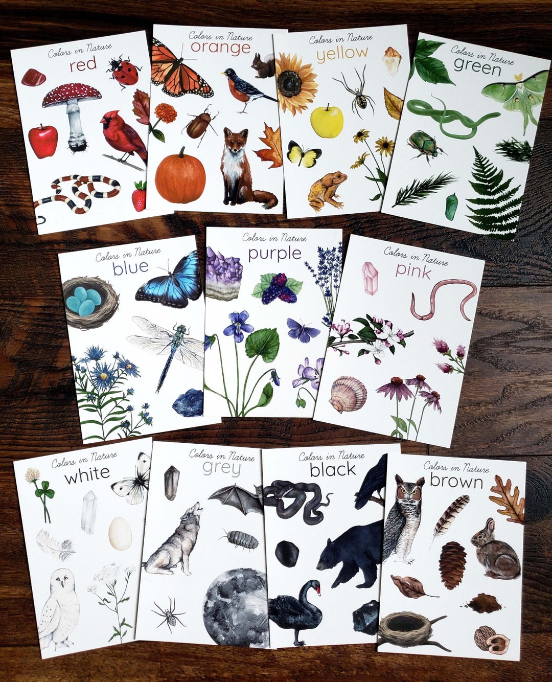 Colors in Nature Set of 11 Cards - Etsy