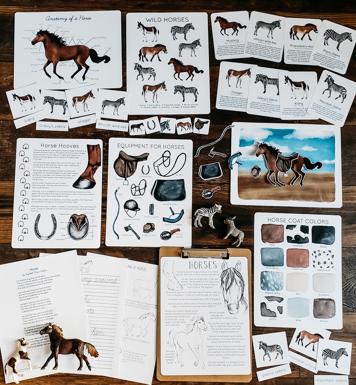 Horse Unit Study - Etsy