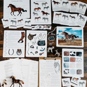 Horse Unit Study - Etsy