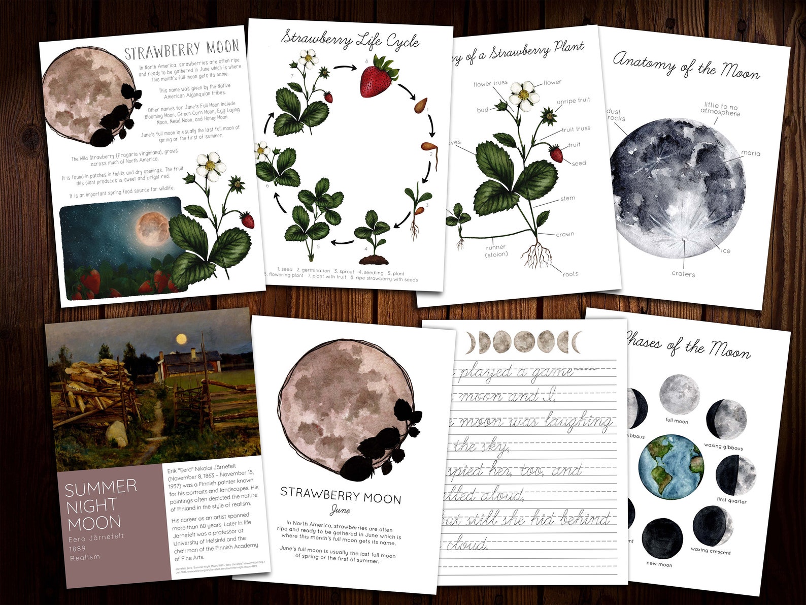 Summer Full Moon Bundle - Etsy