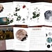 Summer Full Moon Bundle - Etsy