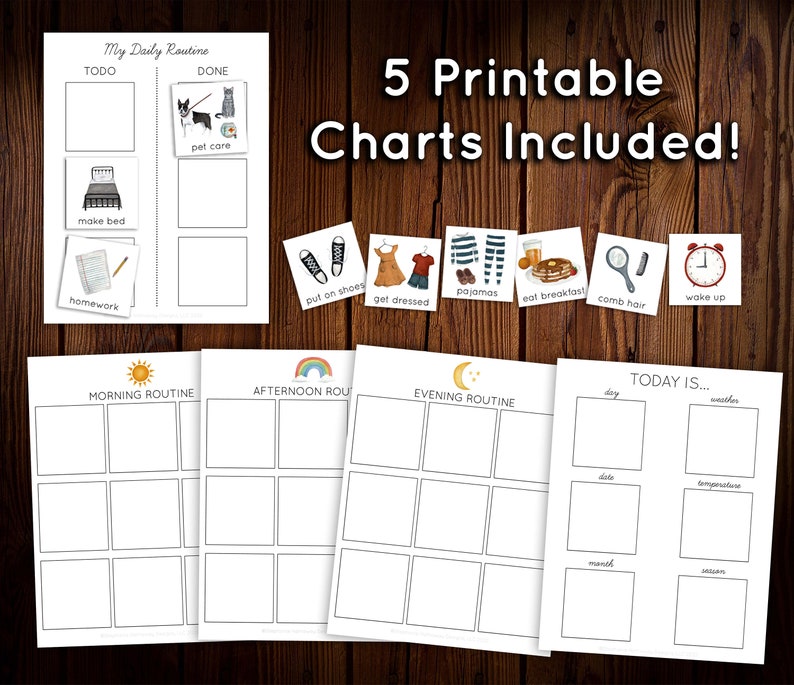 Editable Daily Rhythm Cards and Visual Schedule - Etsy