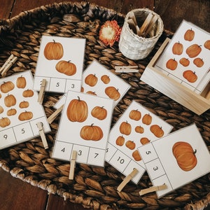 Pumpkin Mini Unit Study - Etsy