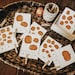 Pumpkin Mini Unit Study - Etsy