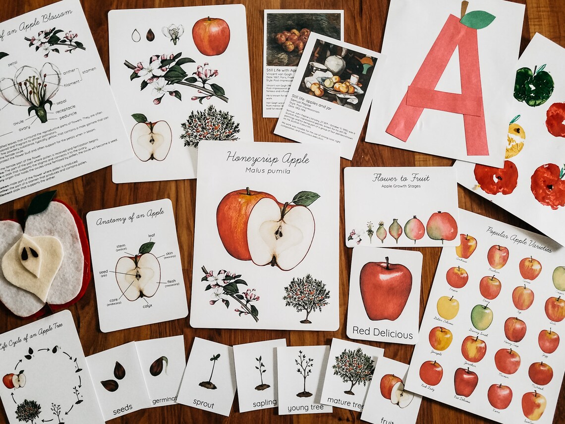 Apple Unit Study Bundle - Etsy