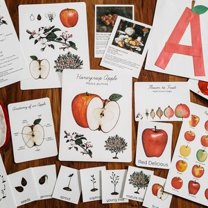 Apple Unit Study Bundle - Etsy