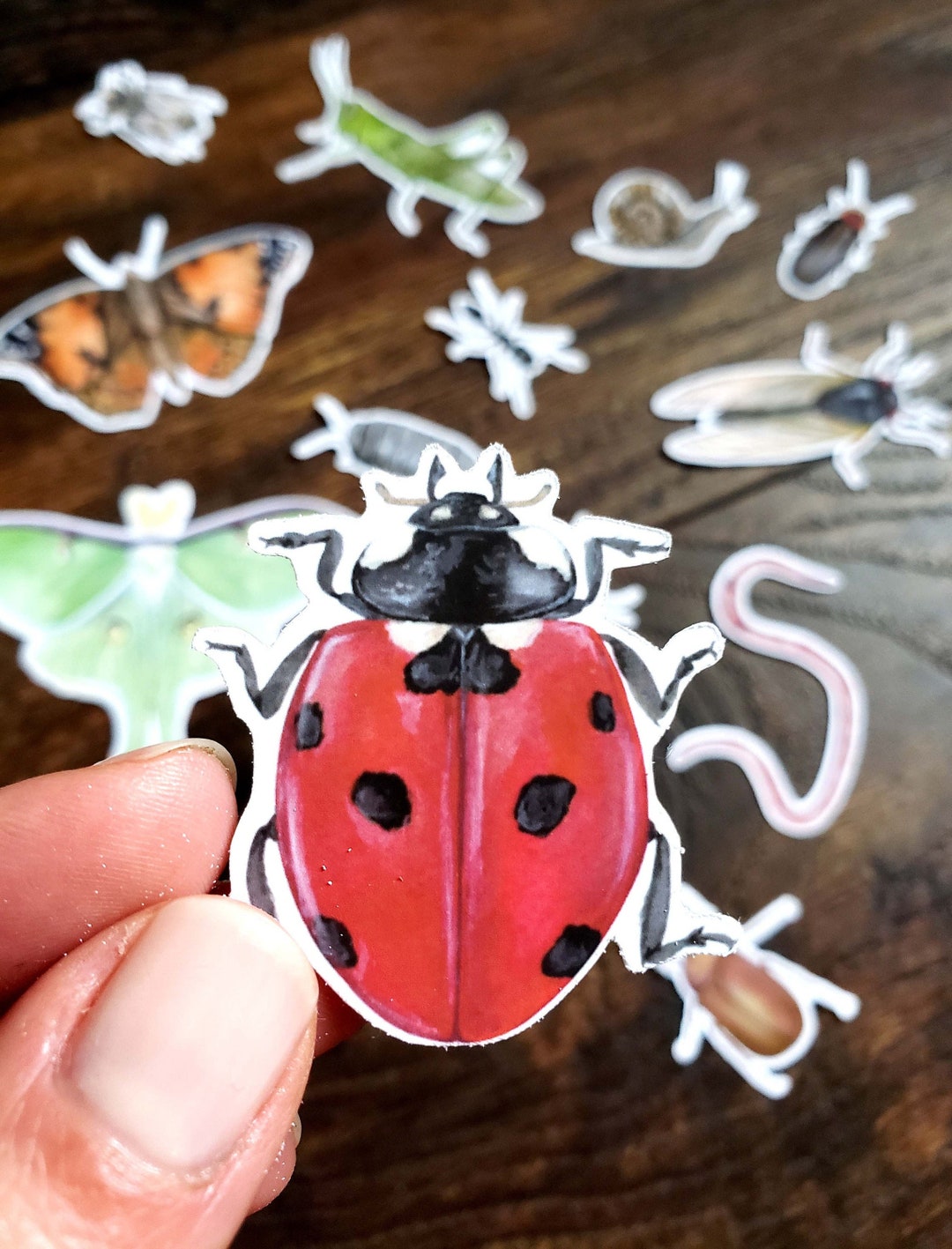 Minibeast Sticker Pack Set of 13 - Etsy