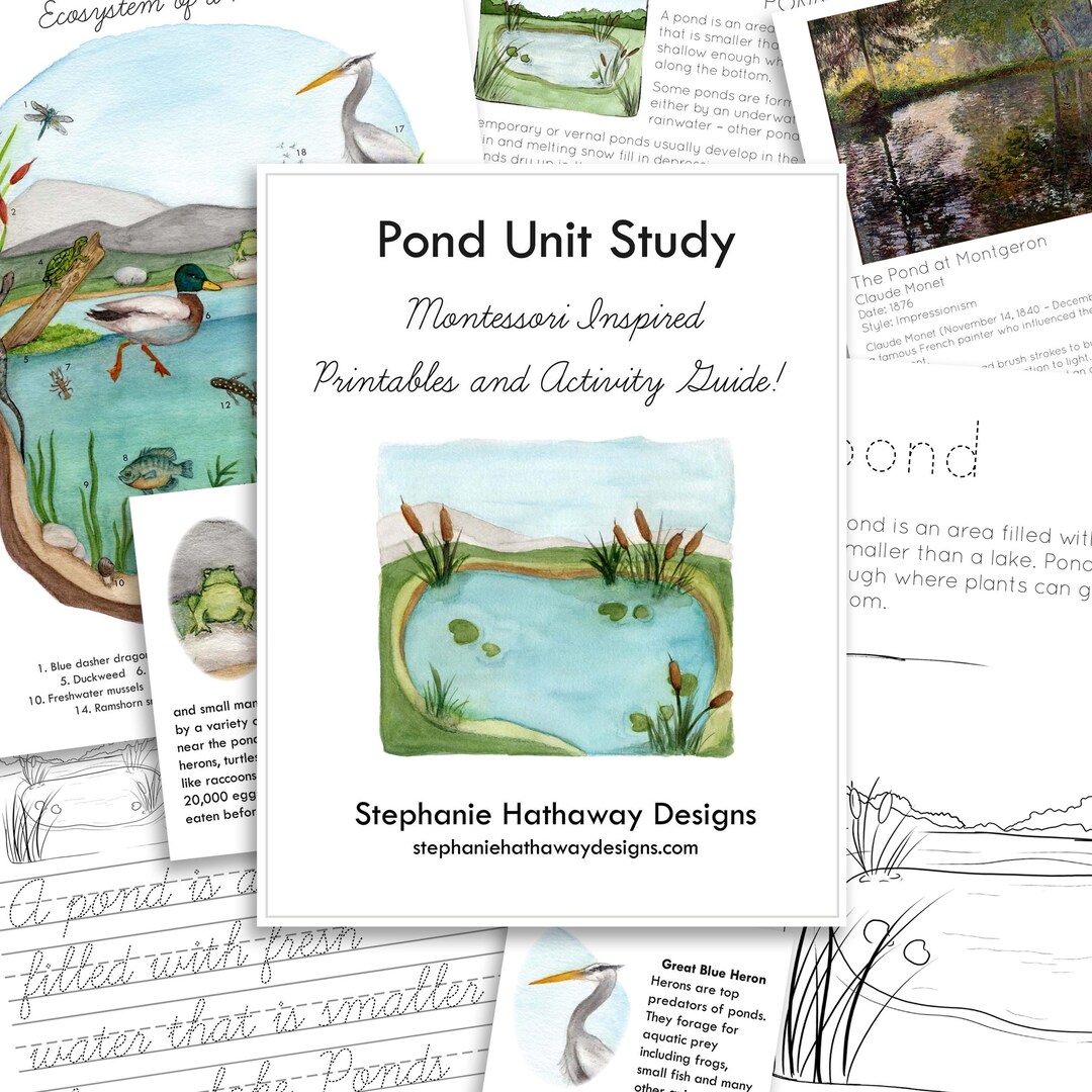 Pond Unit Study Bundle - Etsy