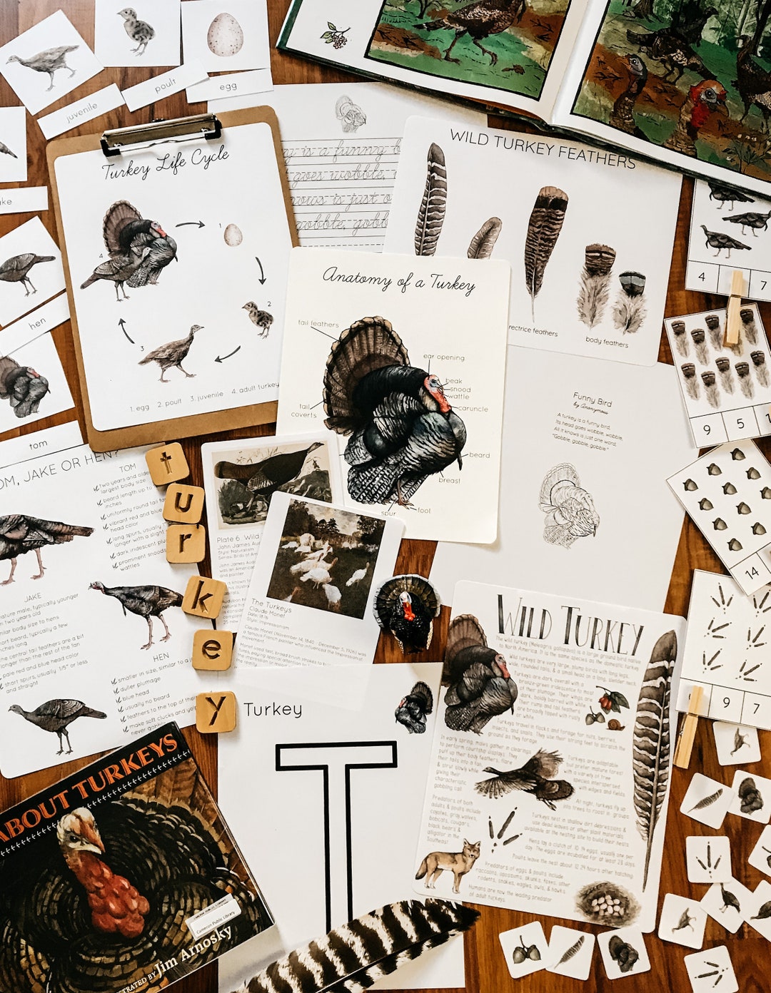 Wild Turkey Nature Study With Unit Study Guide - Etsy