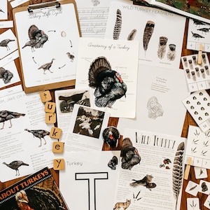 Wild Turkey Nature Study With Unit Study Guide - Etsy