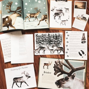 Winter Nature Bundle - Etsy