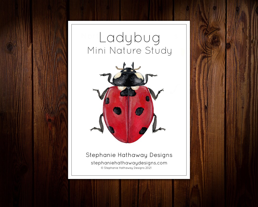 Ladybug Mini Nature Study - Etsy